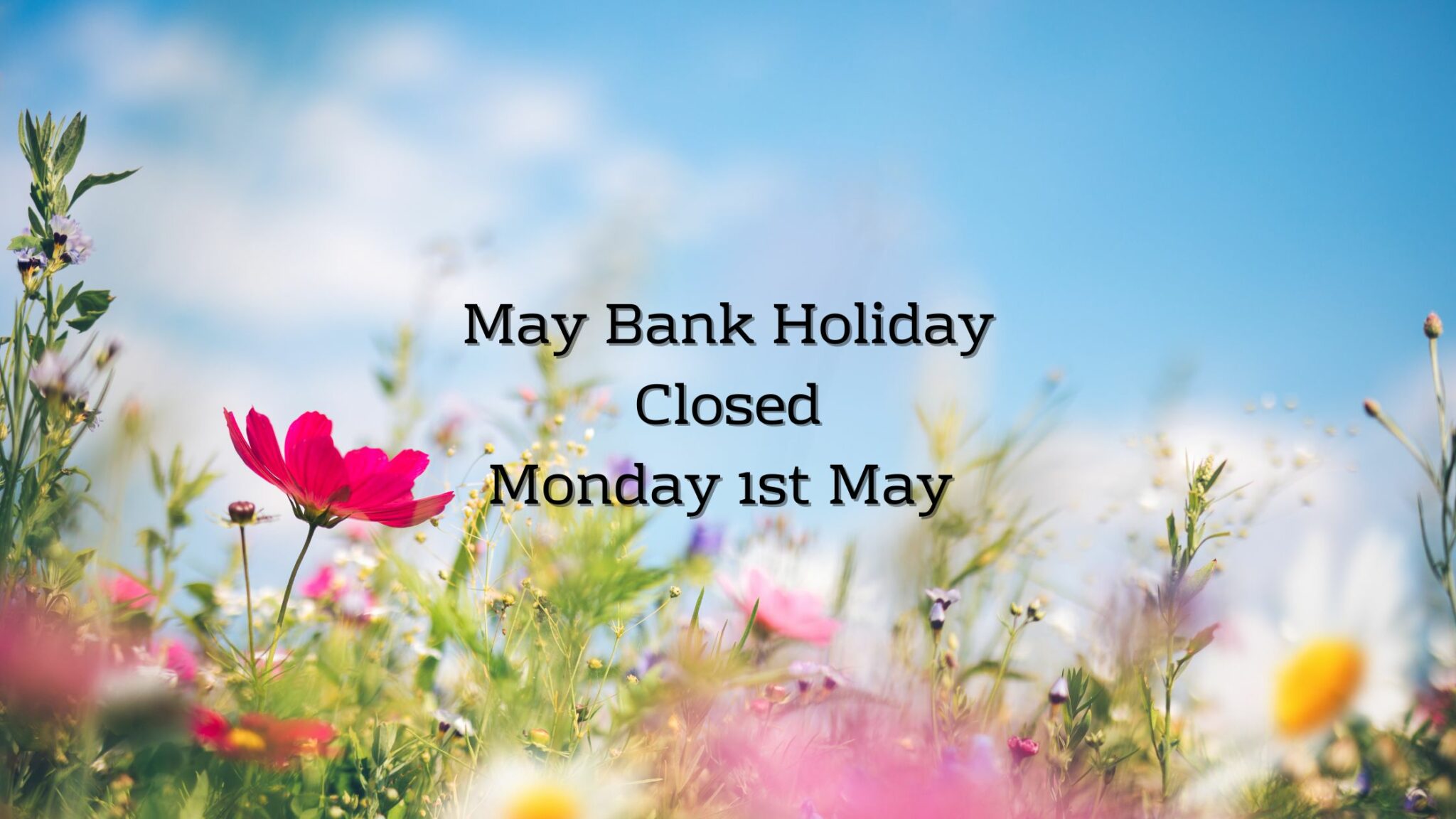 News – Awen Libraries